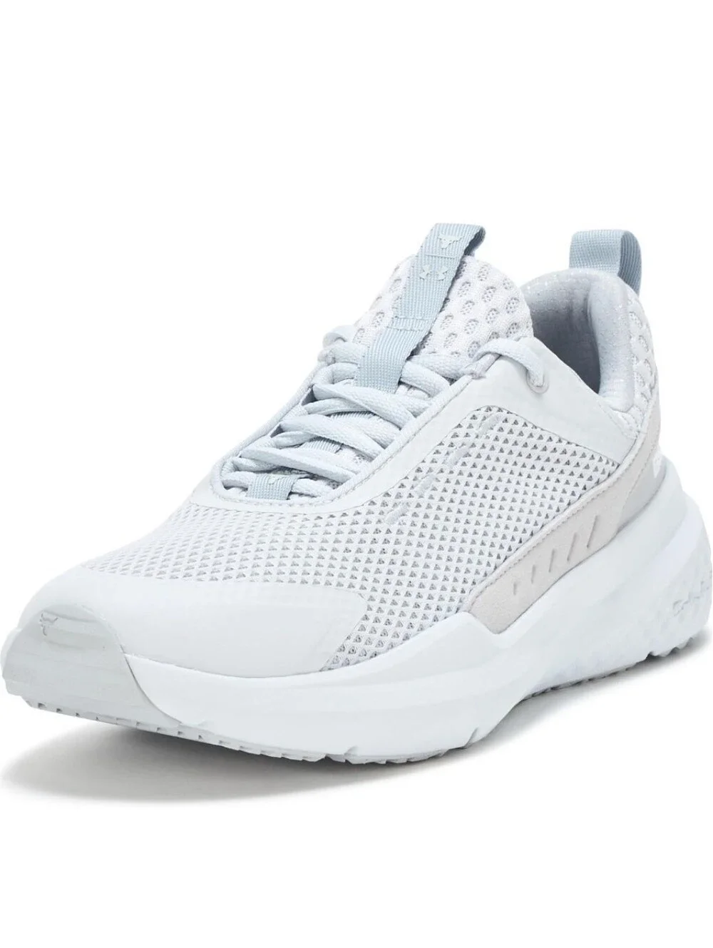 Under Armour | Shoes | Under Armour Project Rock Blood Sweat Respect 5 ...